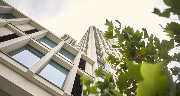 Investor Hub - UPP Ltd