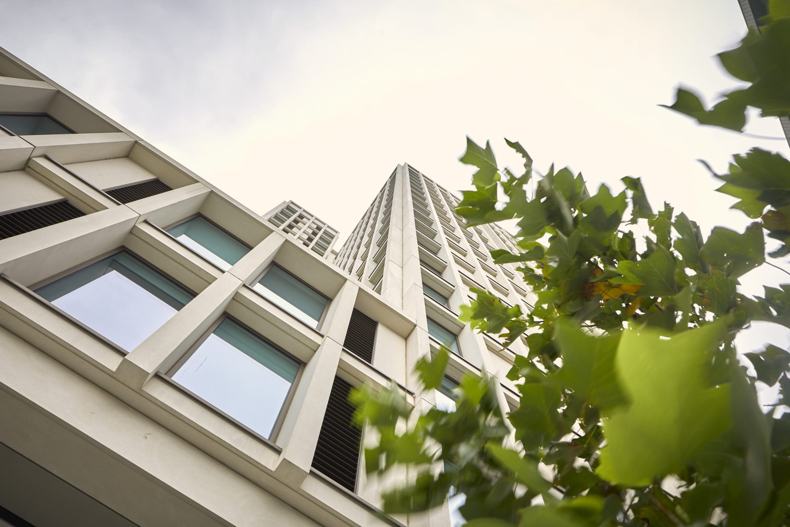 Eleanor Rosa House - UPP Ltd