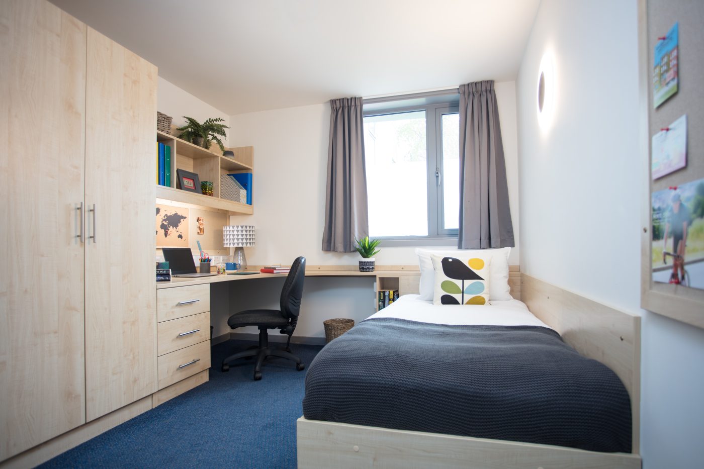 Halifax College - UPP Ltd