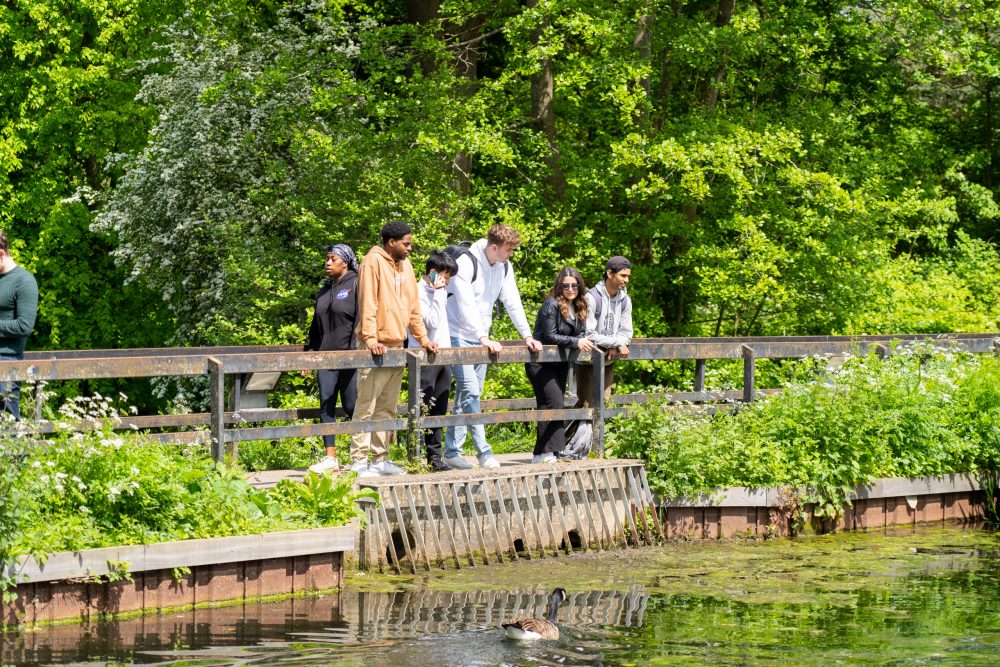 What we do - UPP Ltd